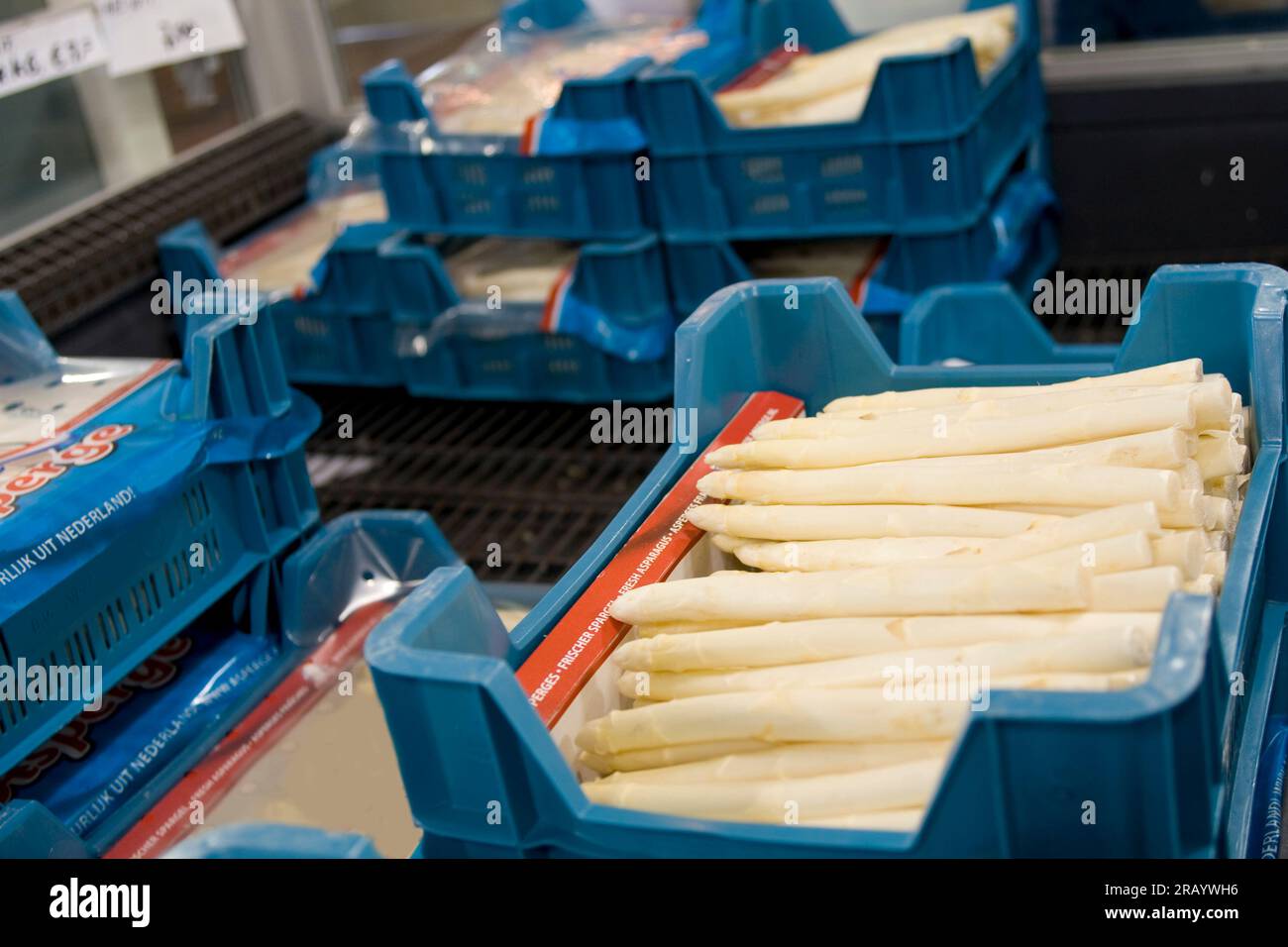 fresh white asparagus in blue boxes at a grocery store Stock Photo - Alamy
