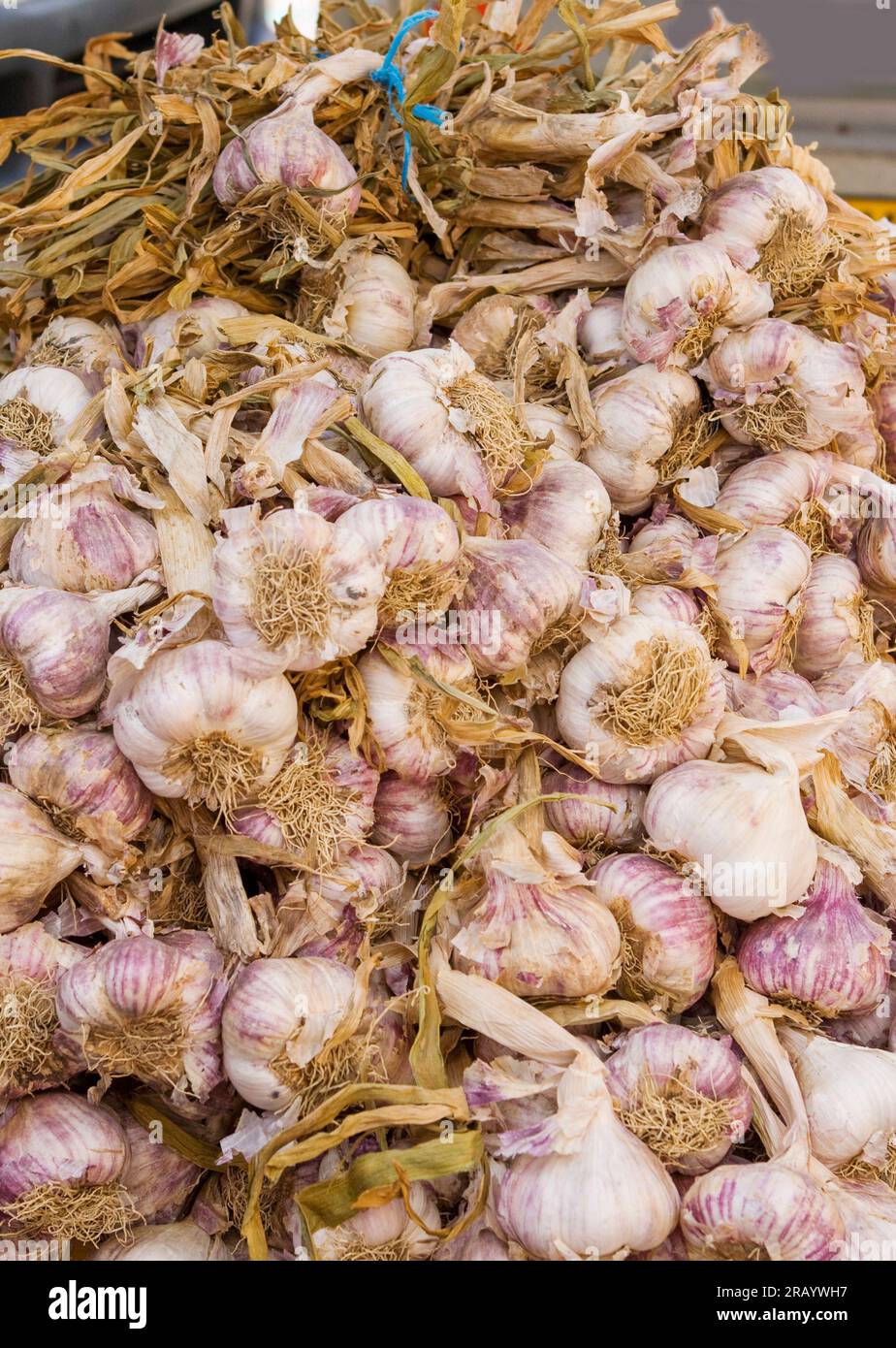 Big heap of garlic Stock Photo - Alamy