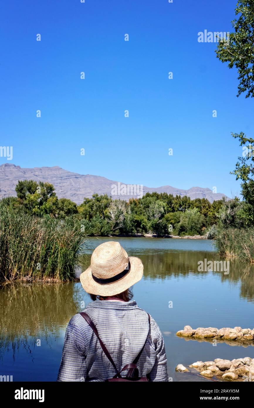 Floyd Lamb Park Tule Springs Rd Las Vegas Nevada USA Stock Photo - Alamy