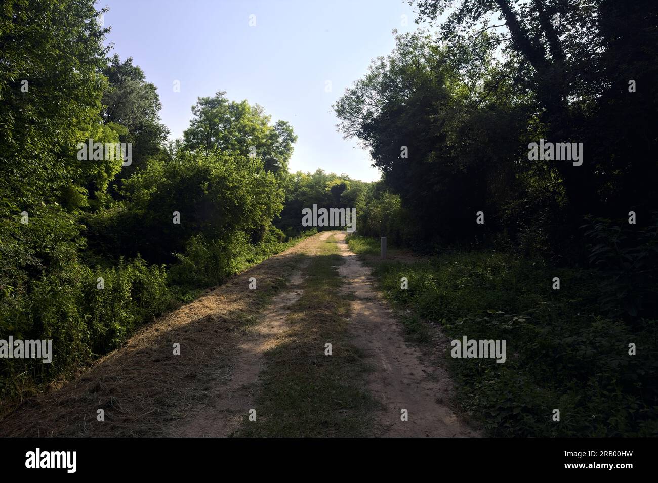Dirt path in a park on a sunny day in the italian countryside Stock ...