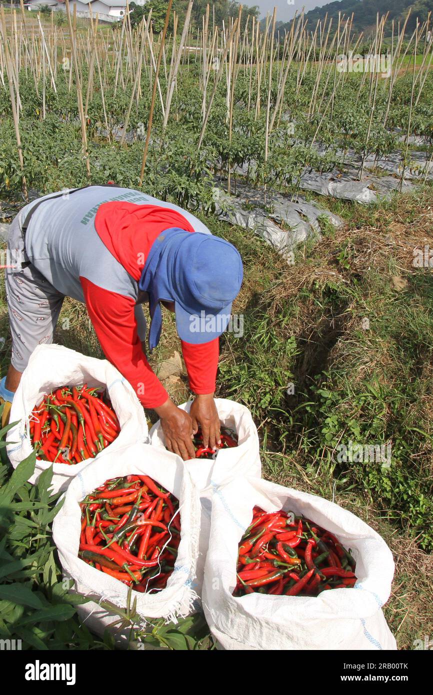 Karanganyar indonesia hi-res stock photography and images - Alamy