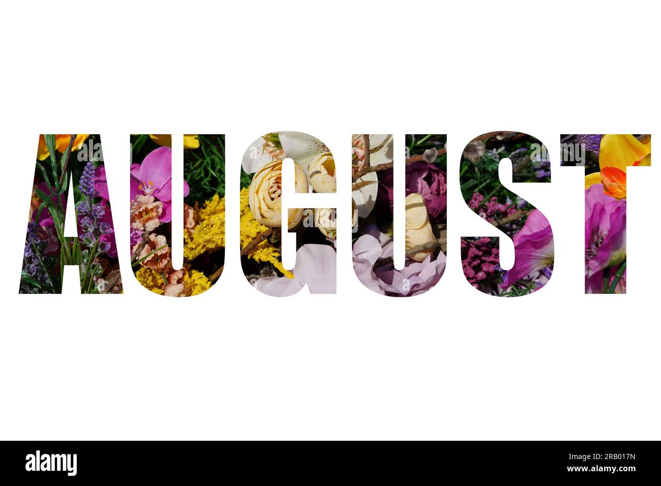 Word August from a colorful flowers. word isolated on white background ...
