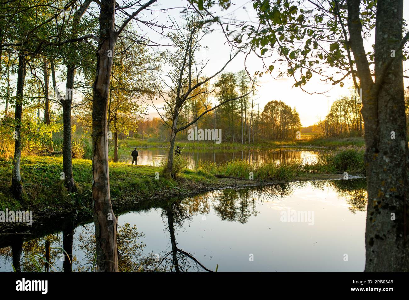 Colorful city park scene in the fall with orange and yellow foliage ...