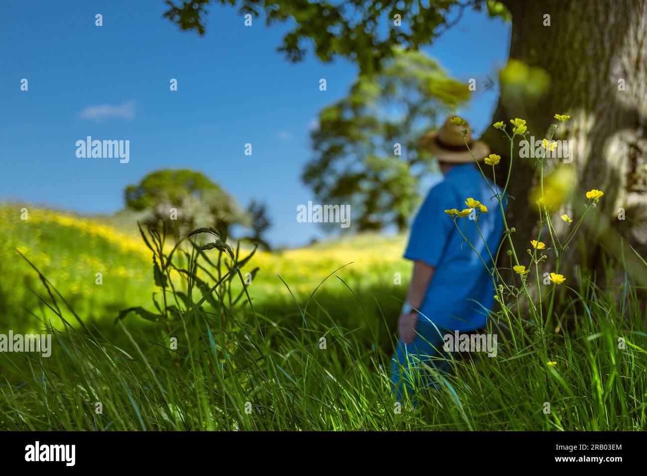 Sitting beneath trees hi-res stock photography and images - Alamy