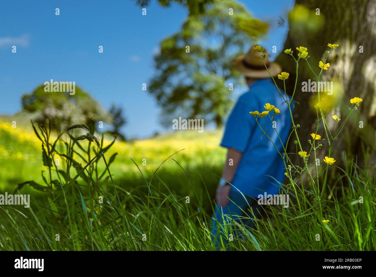 Sitting beneath trees hi-res stock photography and images - Alamy