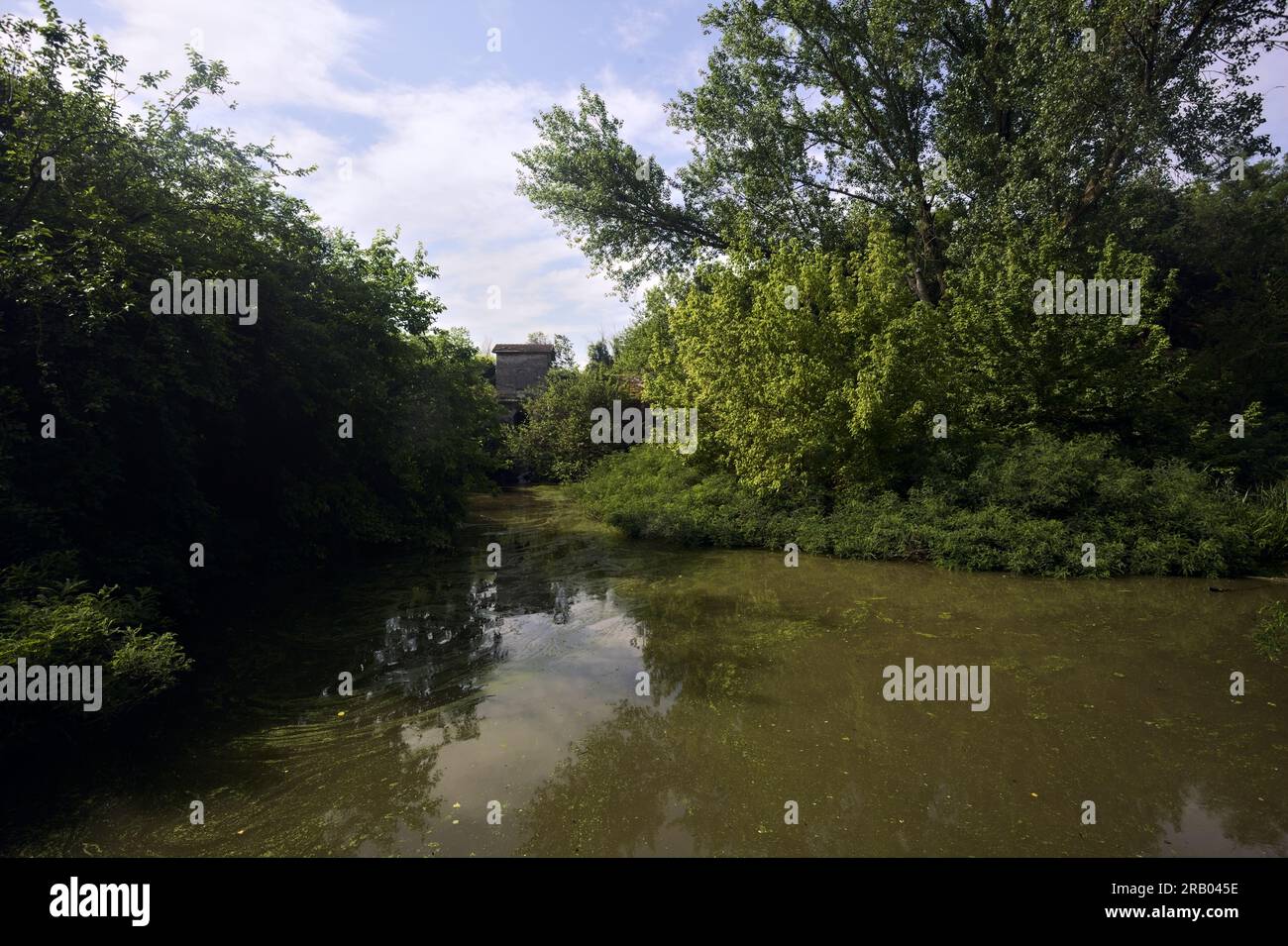 Pond with trees and an old dam on the opposite shore of it on a summer ...
