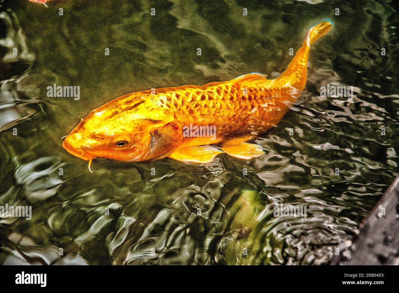 Recreational features hi-res stock photography and images - Alamy
