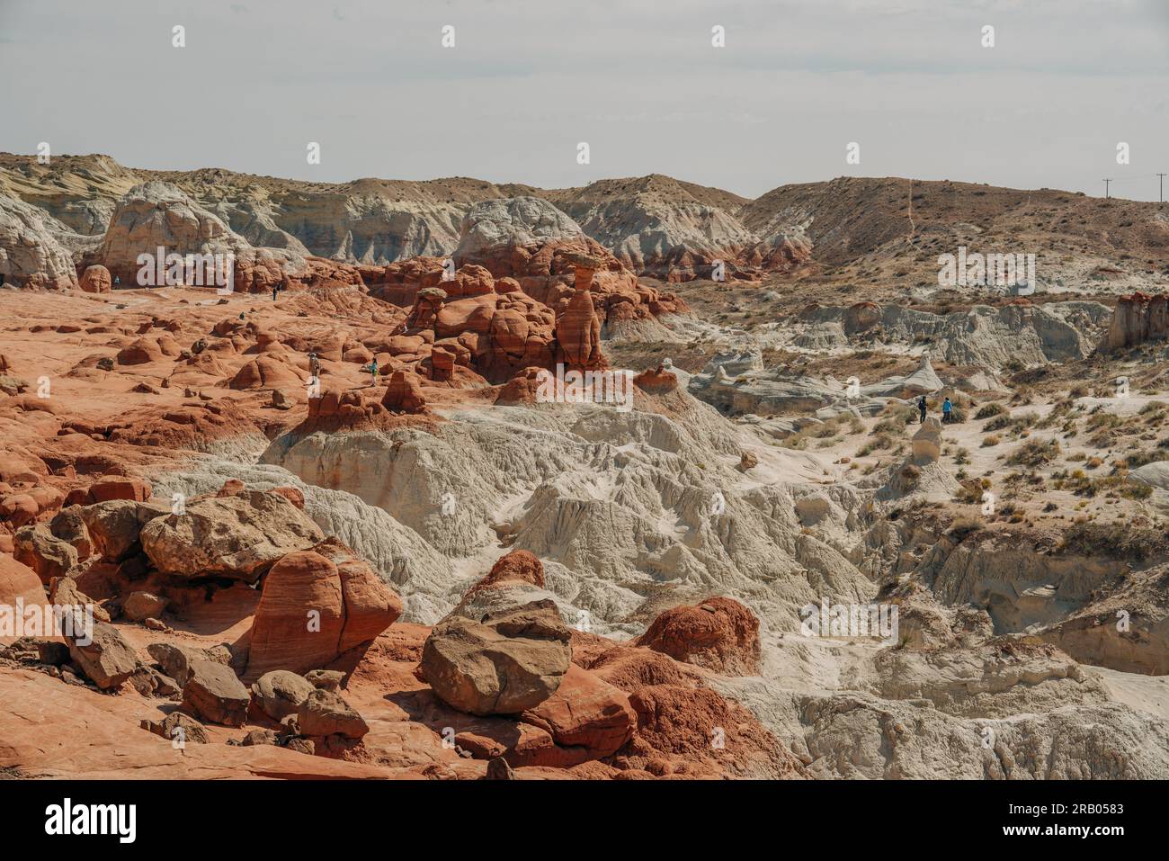 Grand Staircase-Escalante national monumen, Utah. Toadstools, an ...