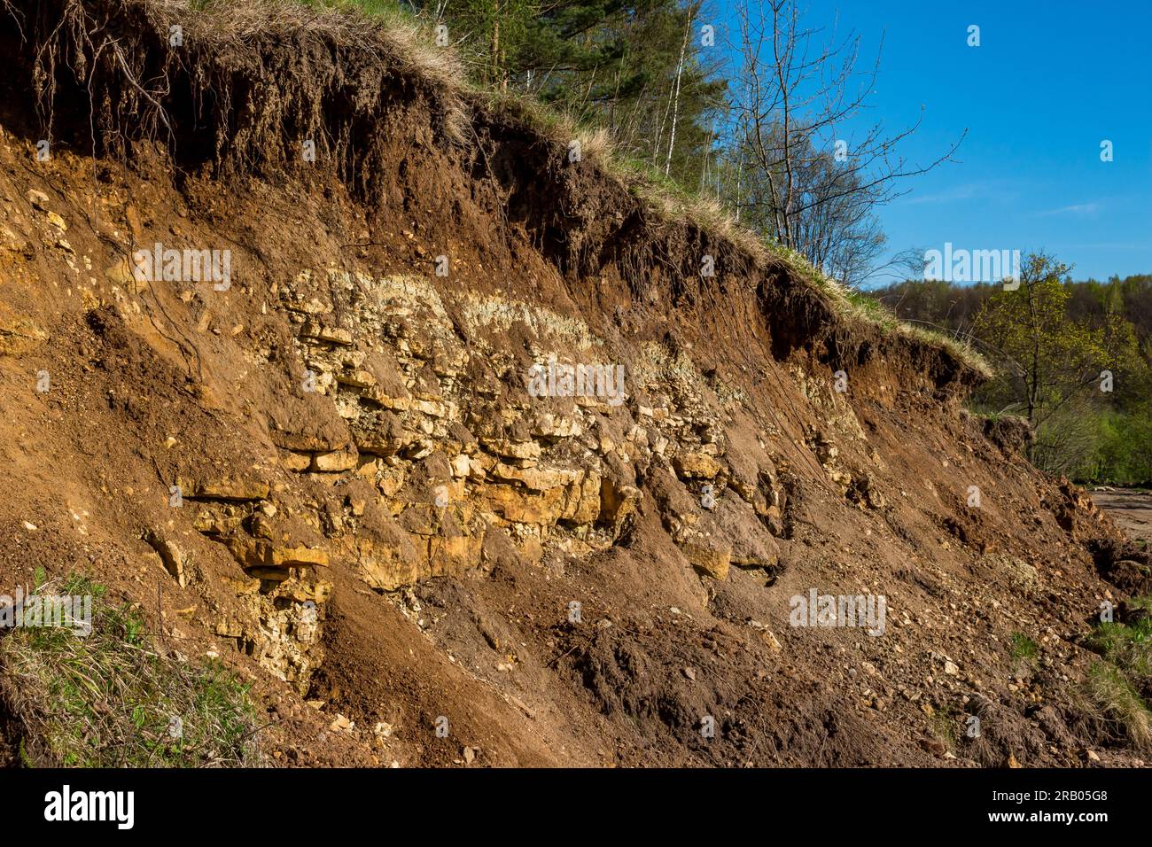 Outcrop of geological rocks. The bedrock is clay and limestone topped ...