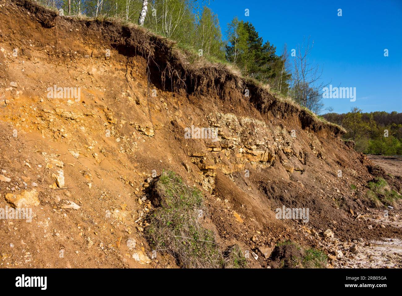 Outcrop of geological rocks. The bedrock is clay and limestone topped ...