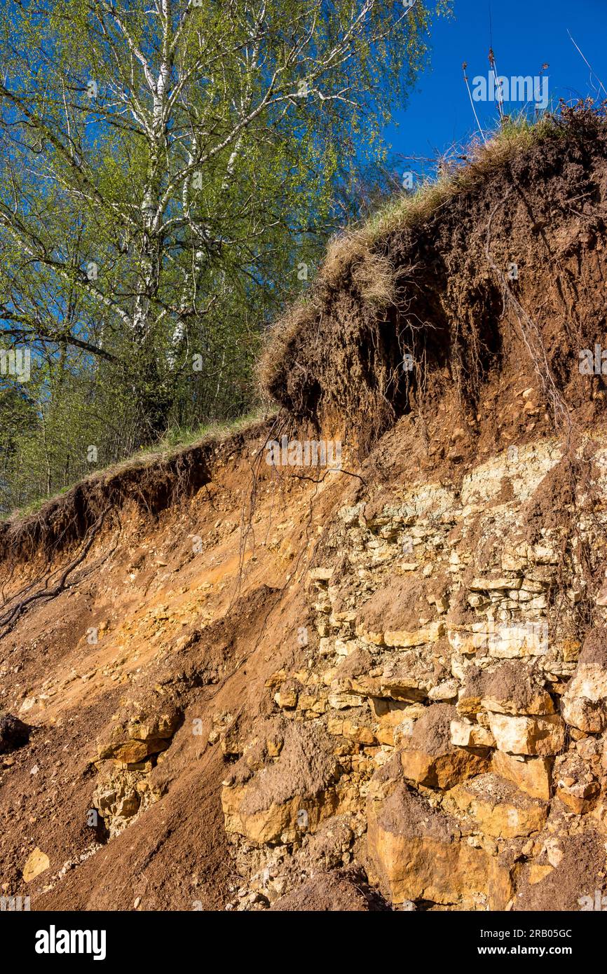 Outcrop of geological rocks. The bedrock is clay and limestone topped ...