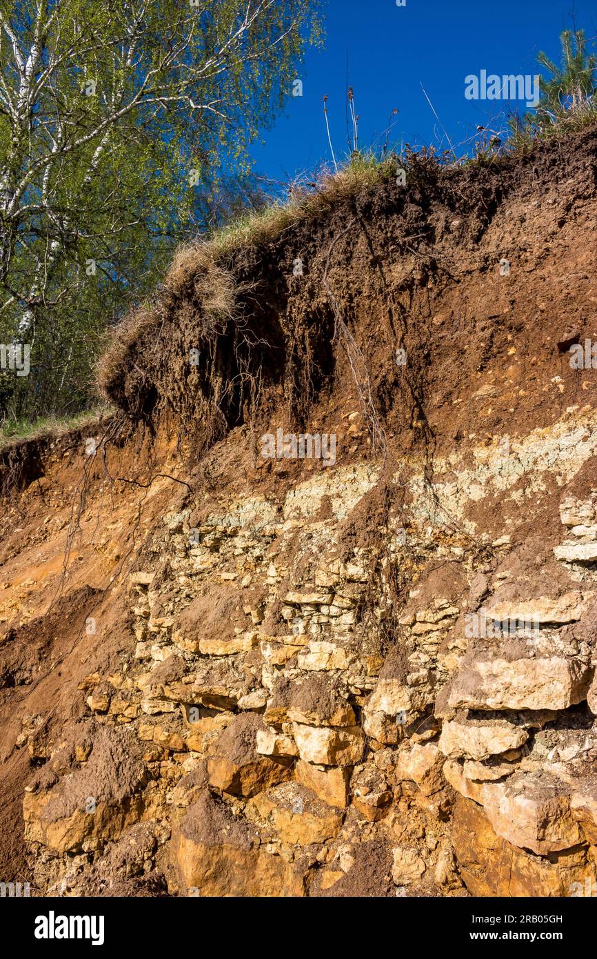 Quaternary structure hi-res stock photography and images - Alamy