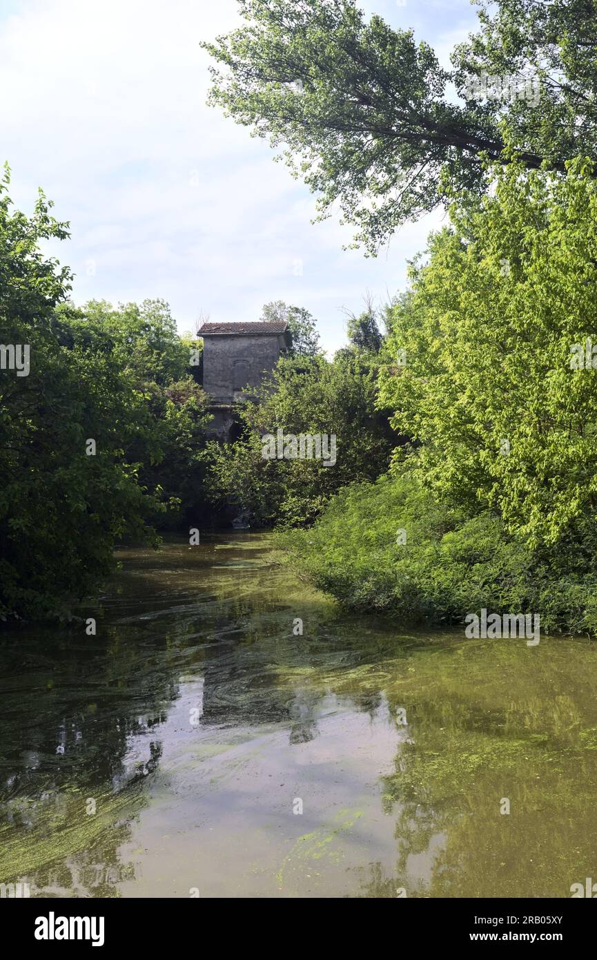 Pond with trees and an old dam on the opposite shore of it on a summer ...
