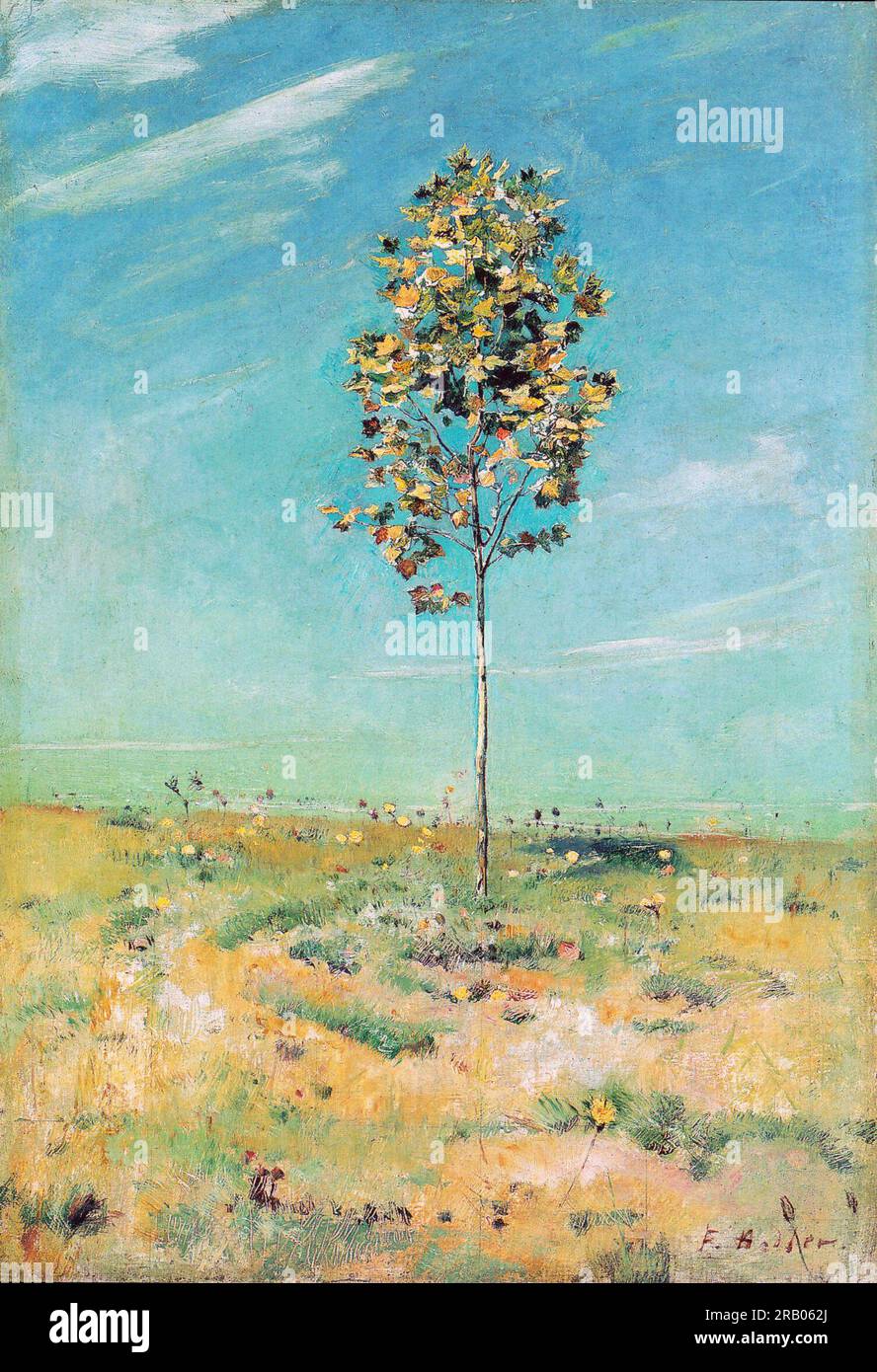 The small plantane hi-res stock photography and images - Alamy