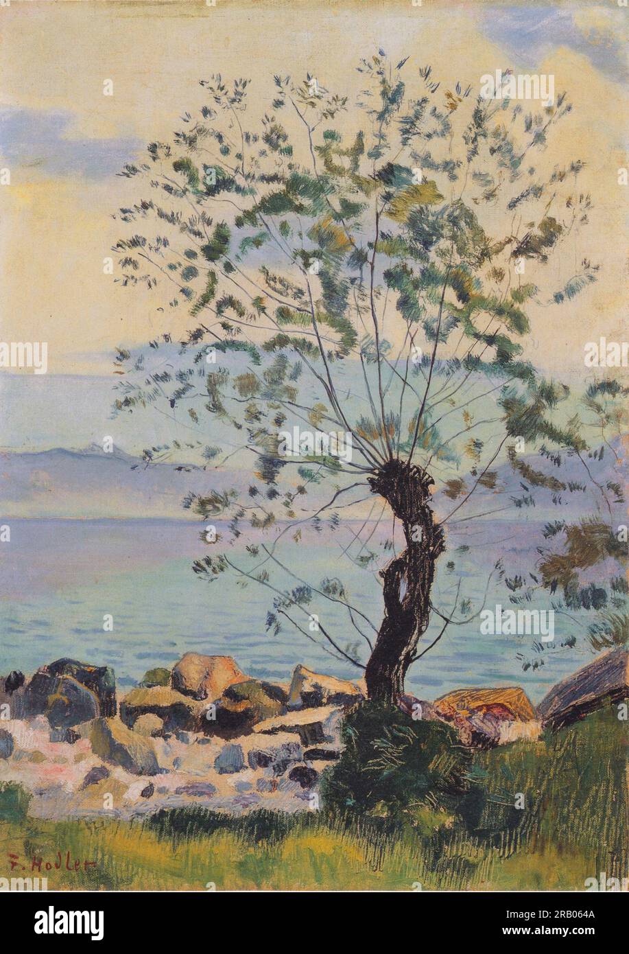 Willow tree by the lake 1890 by Ferdinand Hodler Stock Photo - Alamy