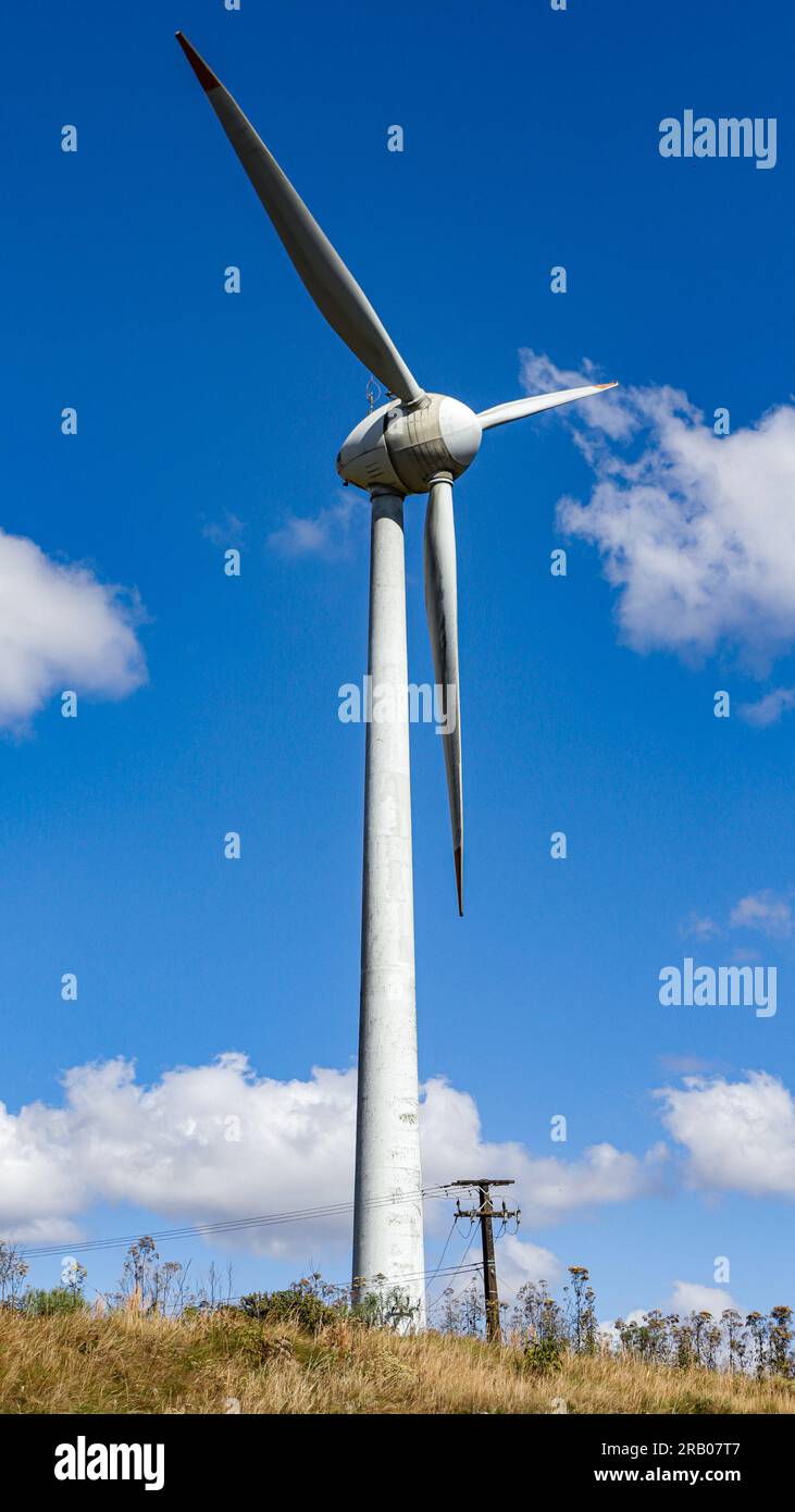 Wind power generation station, using the wind, highlighting the large ...
