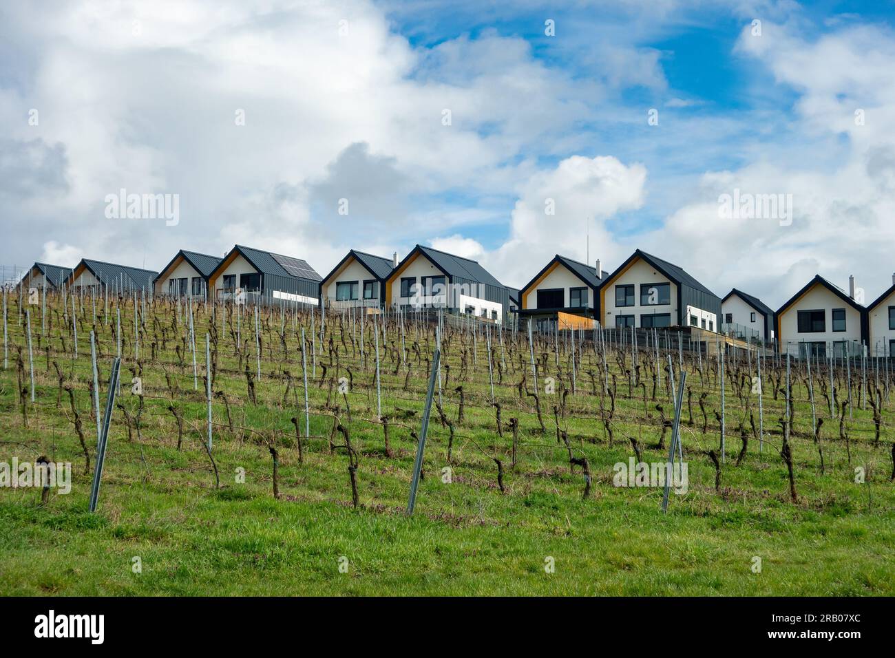 Brand new row houses build by developer behind vineyards Stock Photo ...