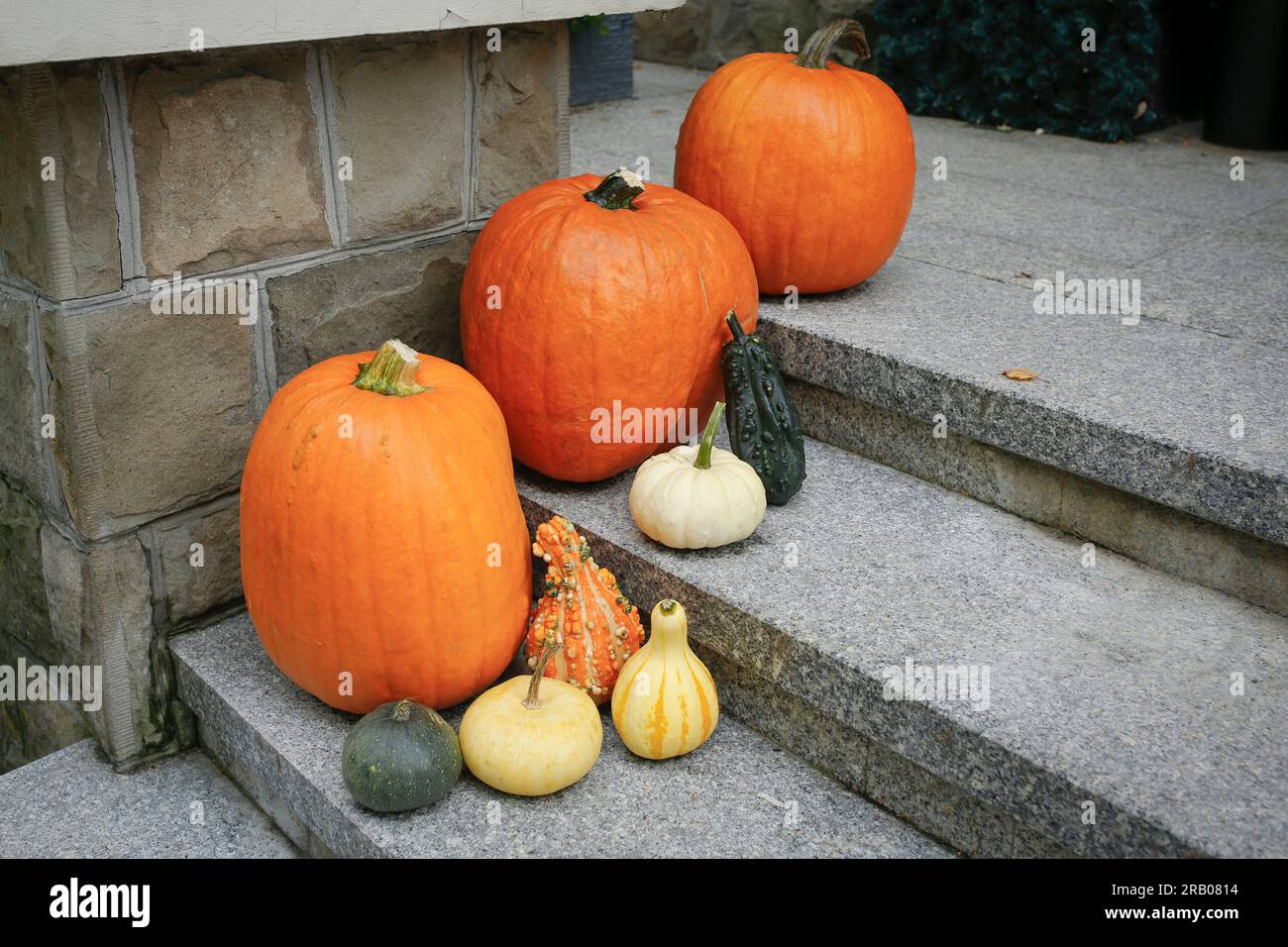 Harvest autumn urban city pumpkins hi-res stock photography and images ...
