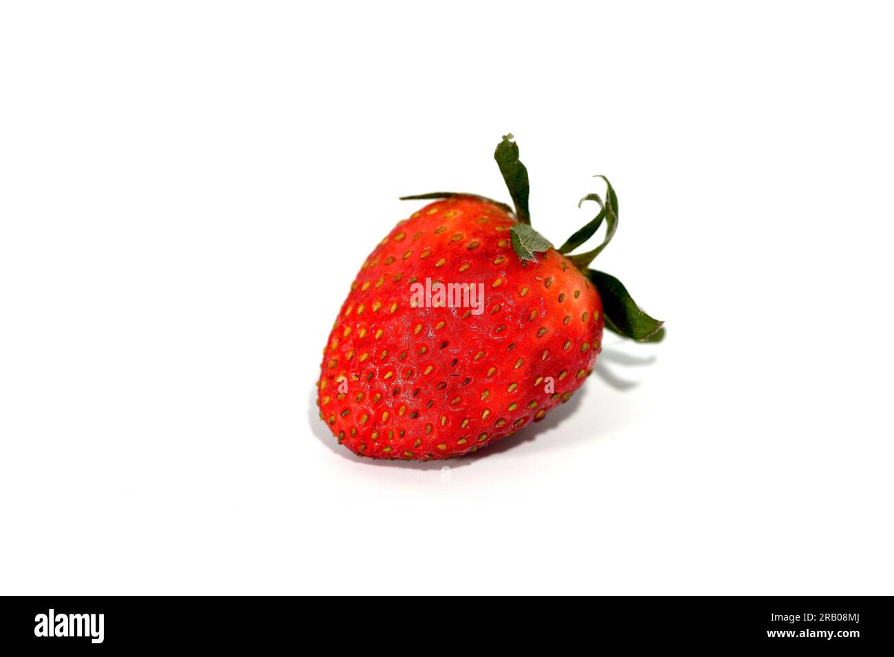 A single strawberry Stock Photo - Alamy