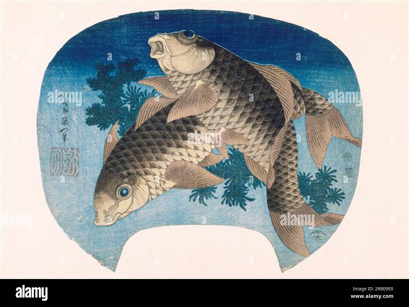 Two carps by Katsushika Hokusai Stock Photo - Alamy