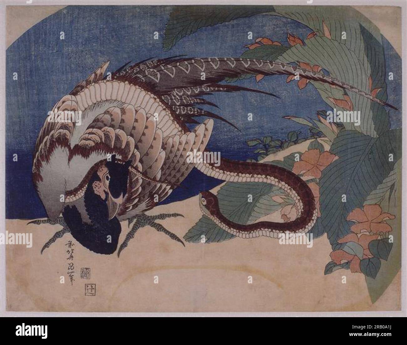 Katsushika hokusai animal hi-res stock photography and images - Alamy