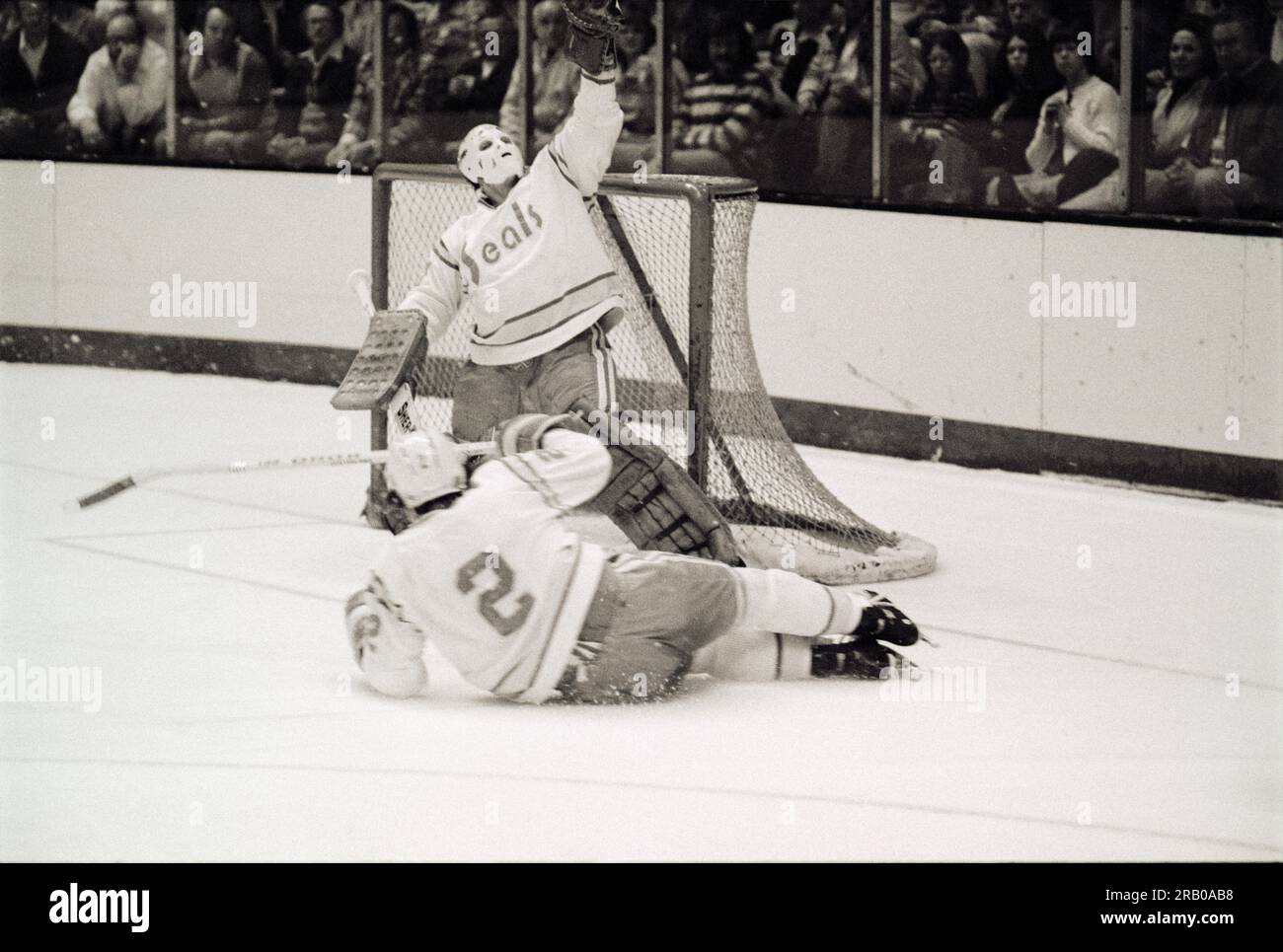 Meloche hi-res stock photography and images - Alamy