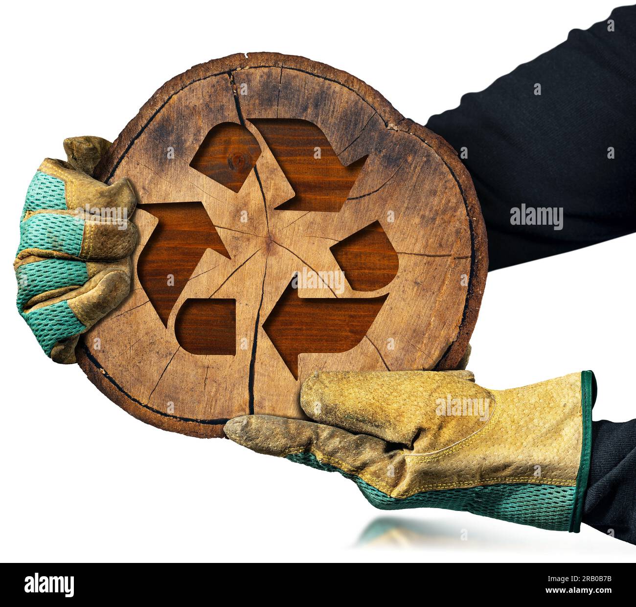 Recycling symbol made of wood. Gloved hands holding a cross section of ...