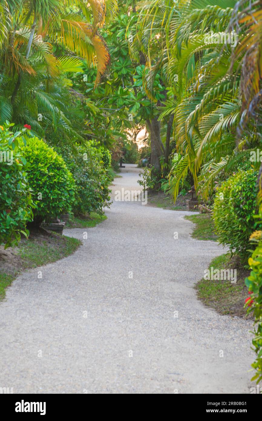 Footpath across tropical garden without people during daytime Stock ...
