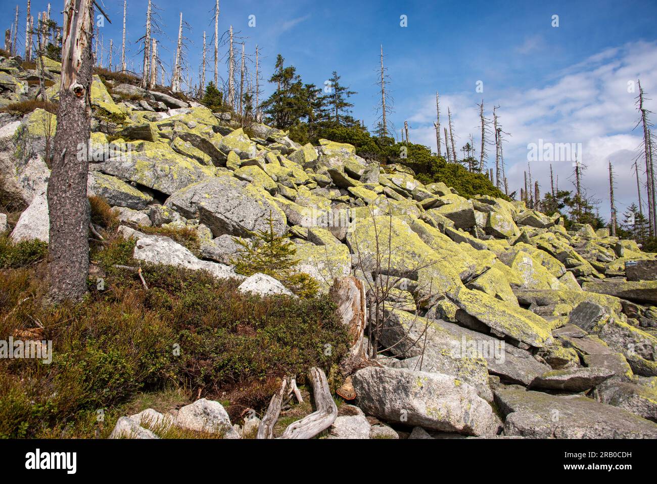 The so-called "Steineres Meer" near Dreisesselberg in Eastern Bavaria ...