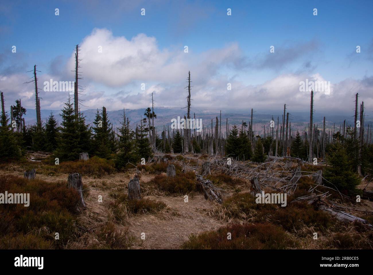 Northern view from Mount Rachel: Storms and acid rain have damaged ...