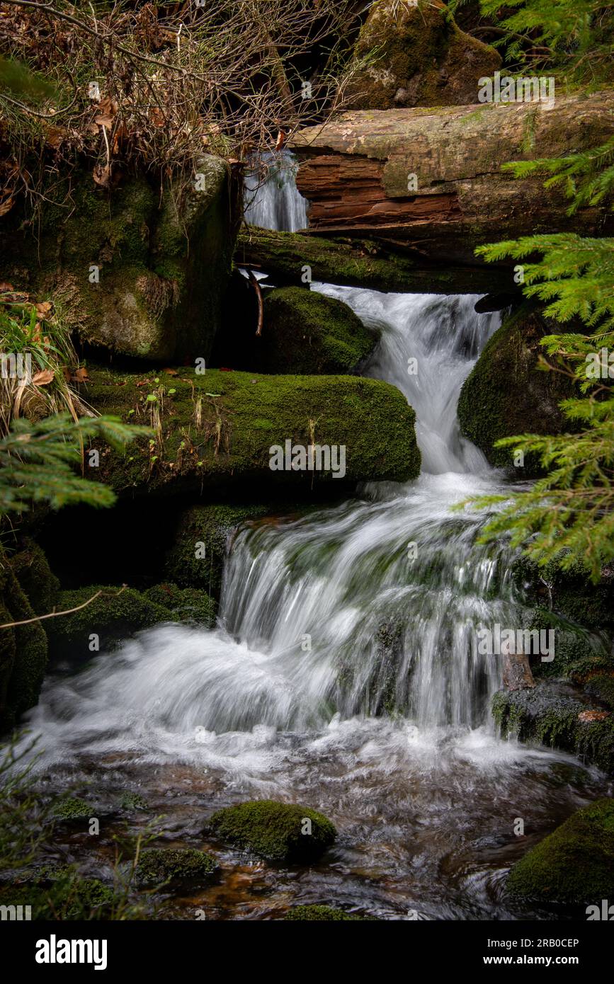 A brook streaming down the mountains in the Bavarian Forest Region ...