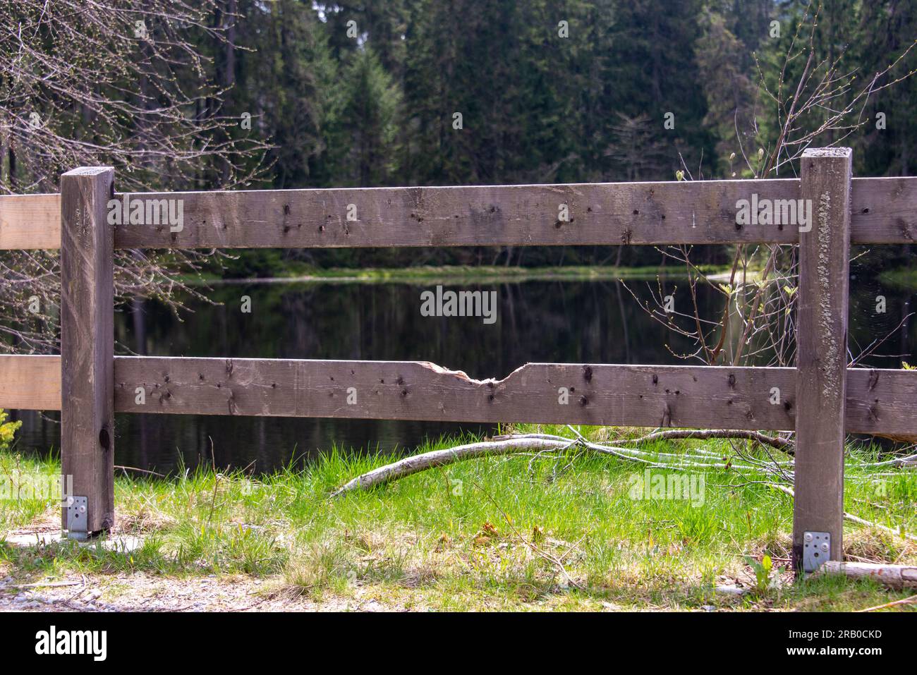 Wooden fence with beaver bite marks near a lake in the Bavarian Forest ...