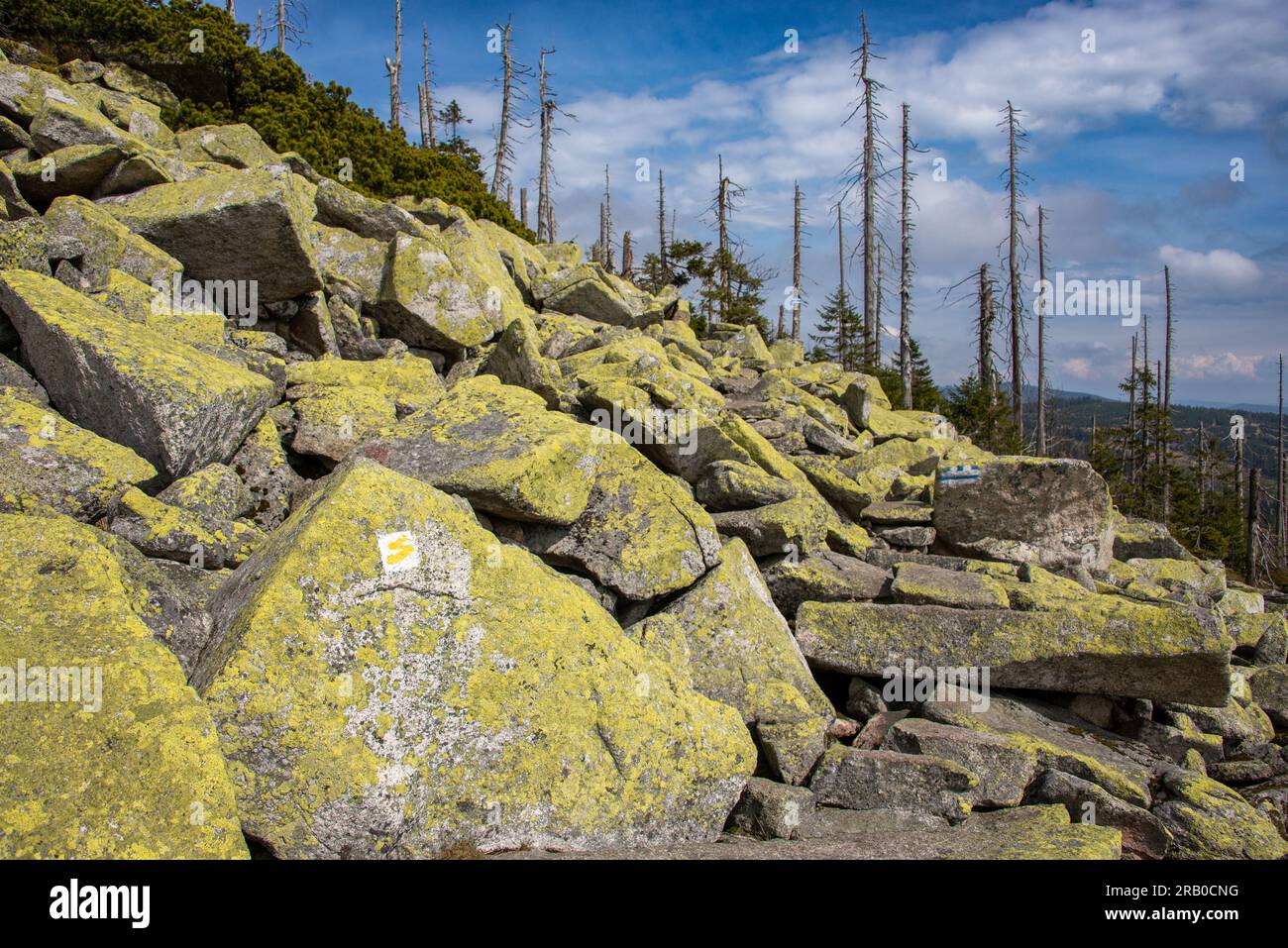 The so-called "Steineres Meer" near Dreisesselberg in Eastern Bavaria ...