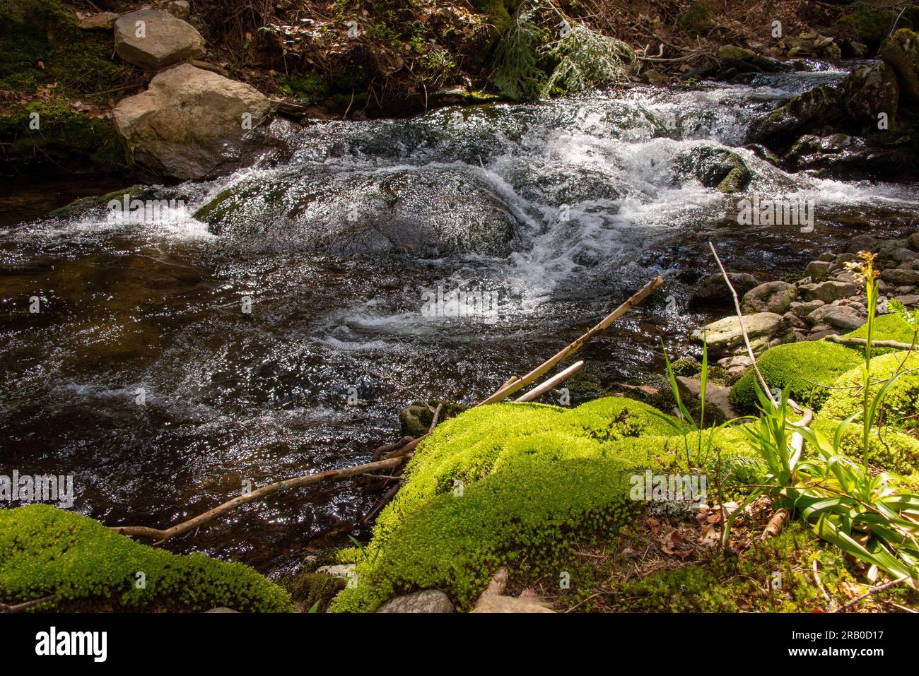 Stream water from mountains on hi-res stock photography and images - Alamy
