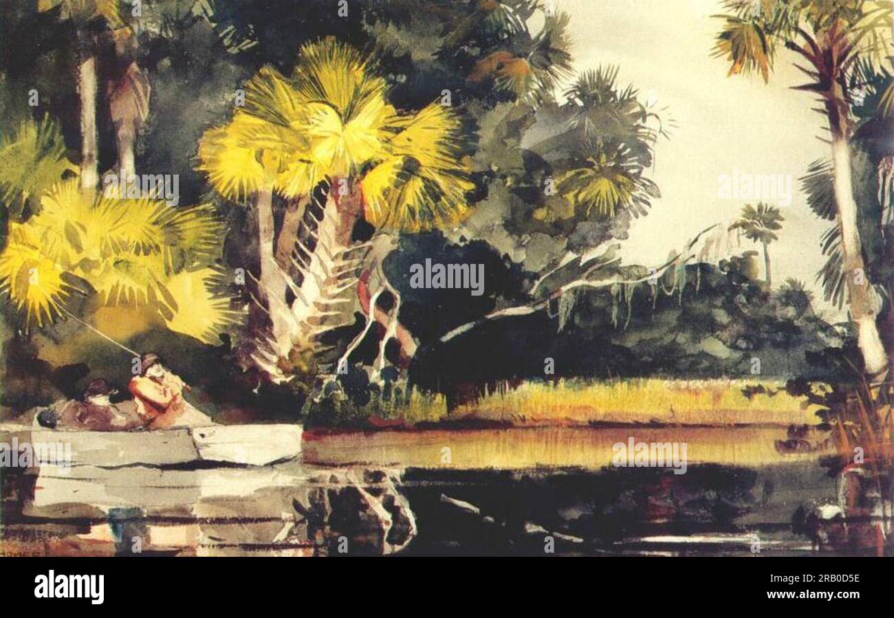 Homosassa jungle hi-res stock photography and images - Alamy