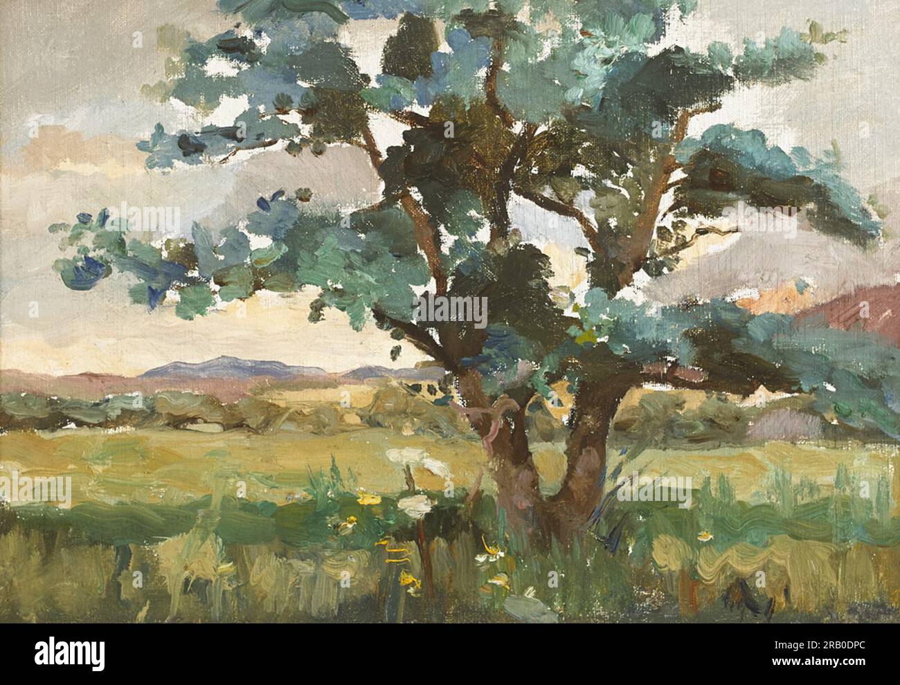 Younger tree hi-res stock photography and images - Alamy