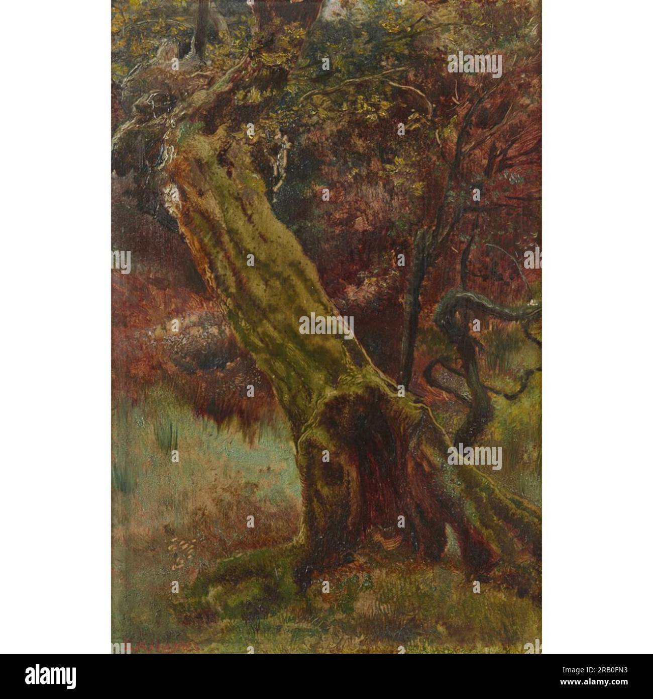 An Old Stump in Epping Forest by Edward Robert Hughes Stock Photo - Alamy