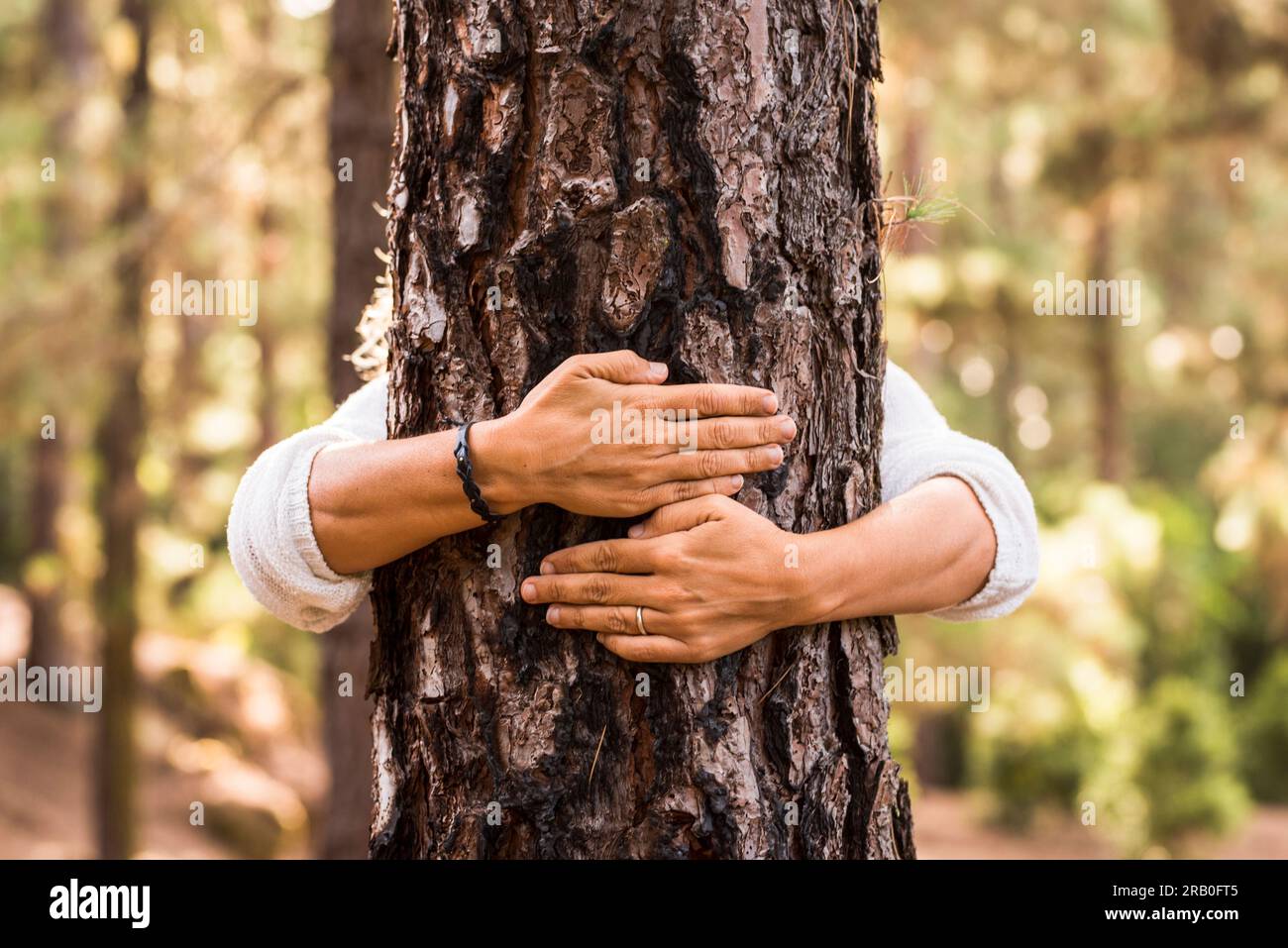 People hugging tree close up nature lover concept lifestyle image - one ...