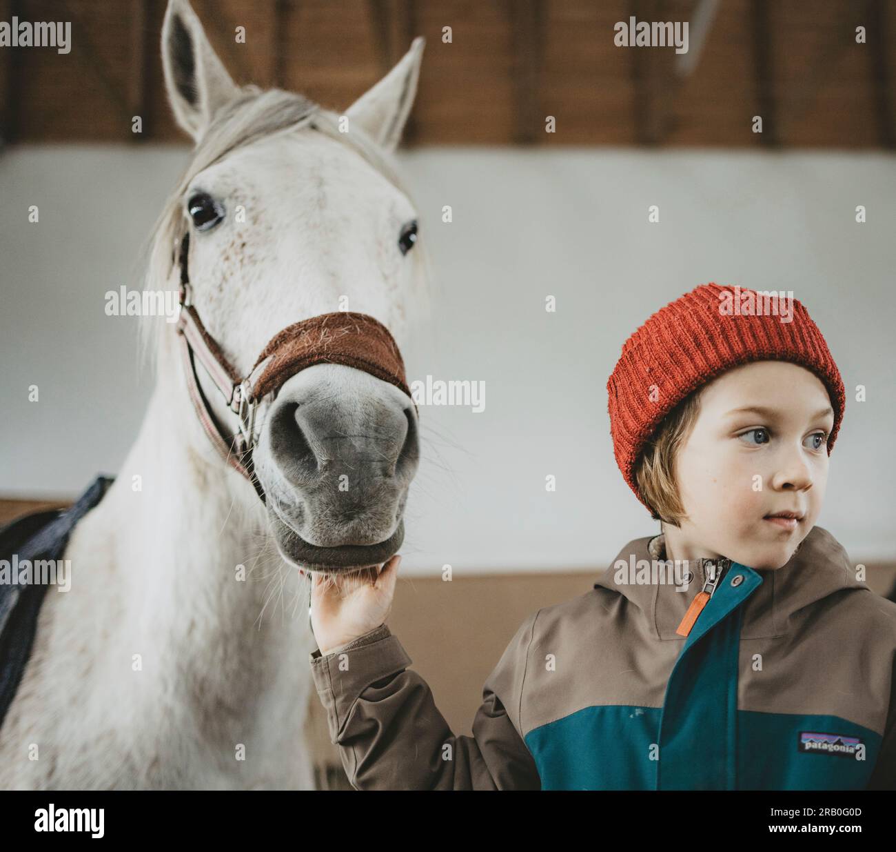 Boy with horse in riding hall Stock Photo - Alamy