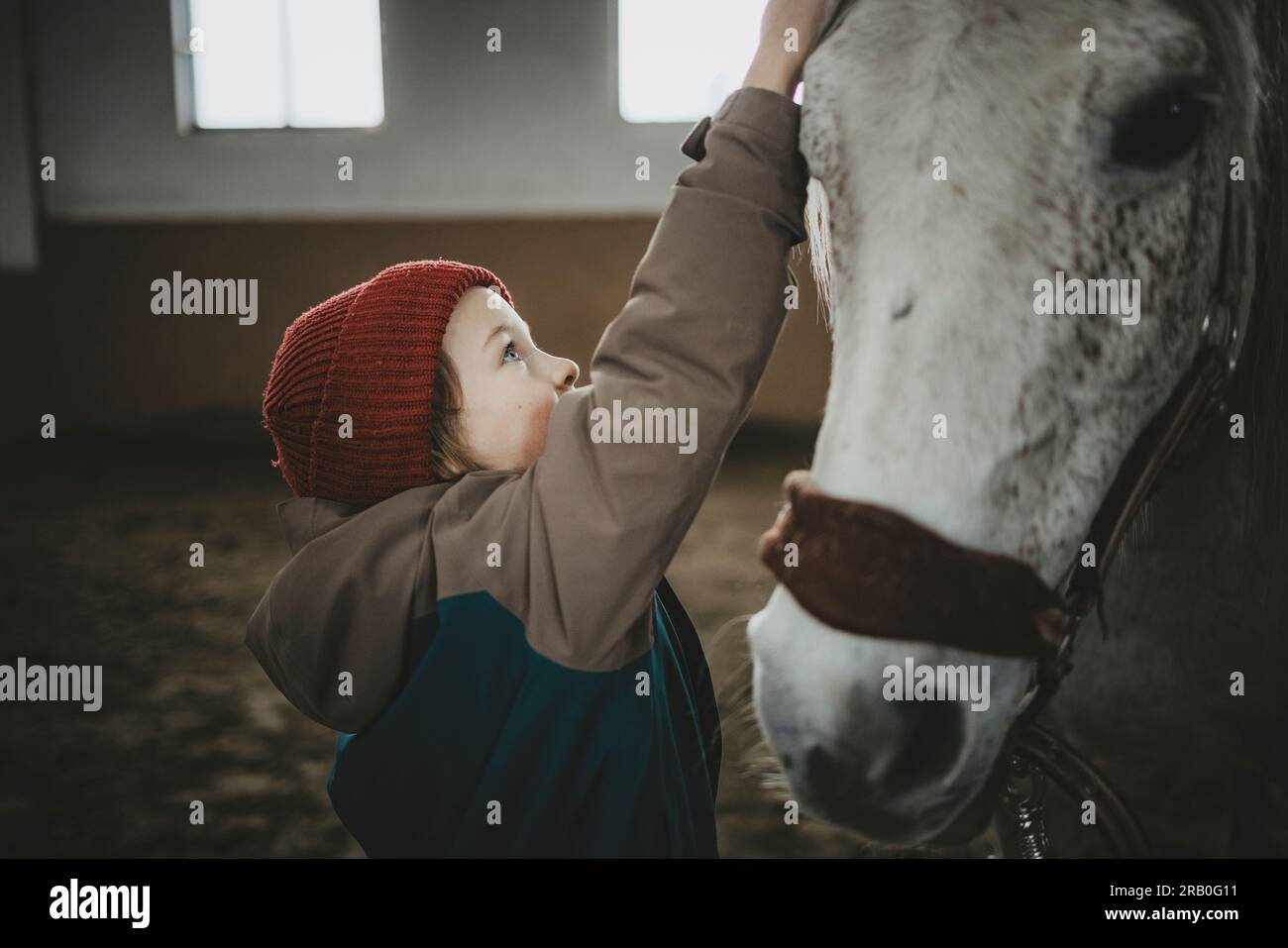 Teen boy riding horse hi-res stock photography and images - Alamy