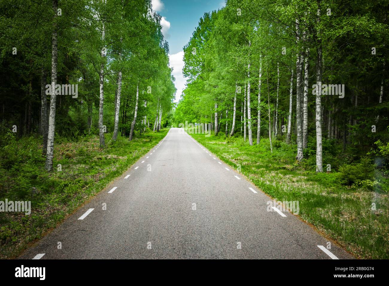 Straight road through forest hi-res stock photography and images - Alamy