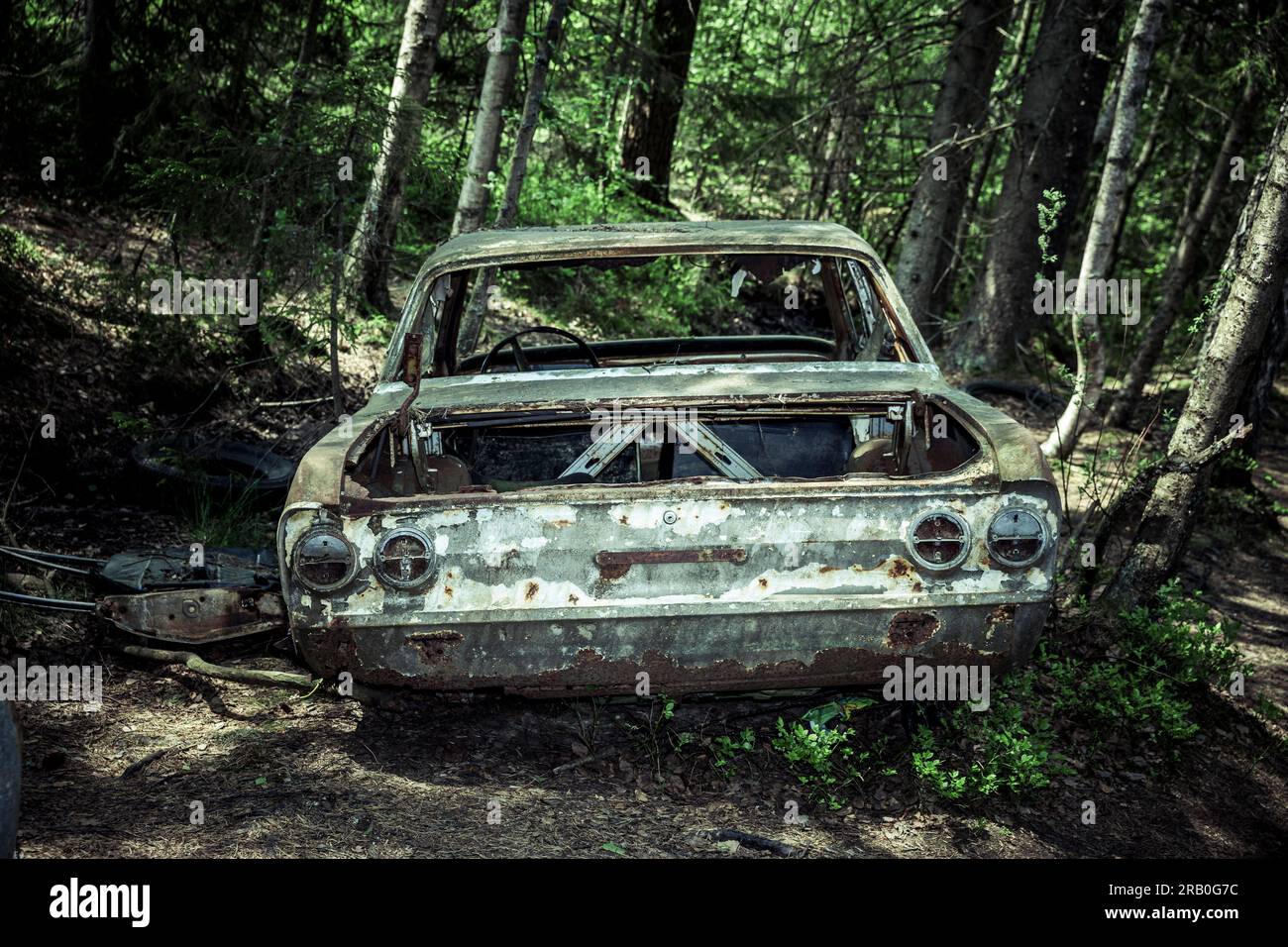 Vintage cars on a car graveyard in a forest Stock Photo - Alamy