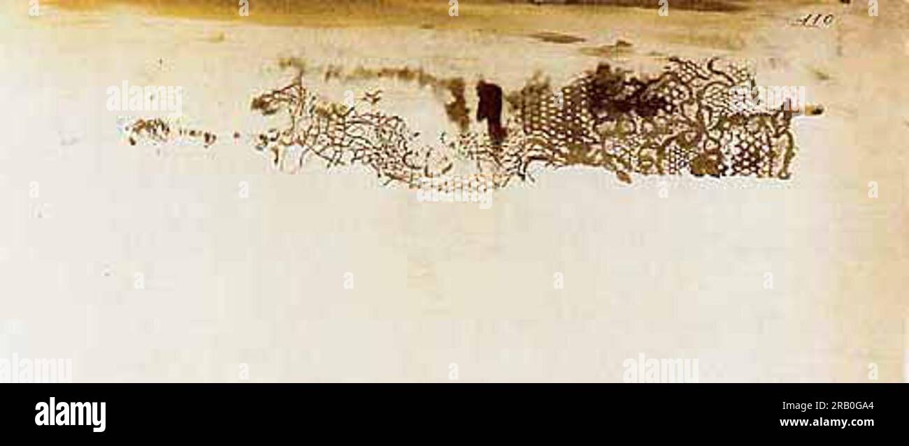 Lace impression, spectral form 1855 by Victor Hugo Stock Photo - Alamy