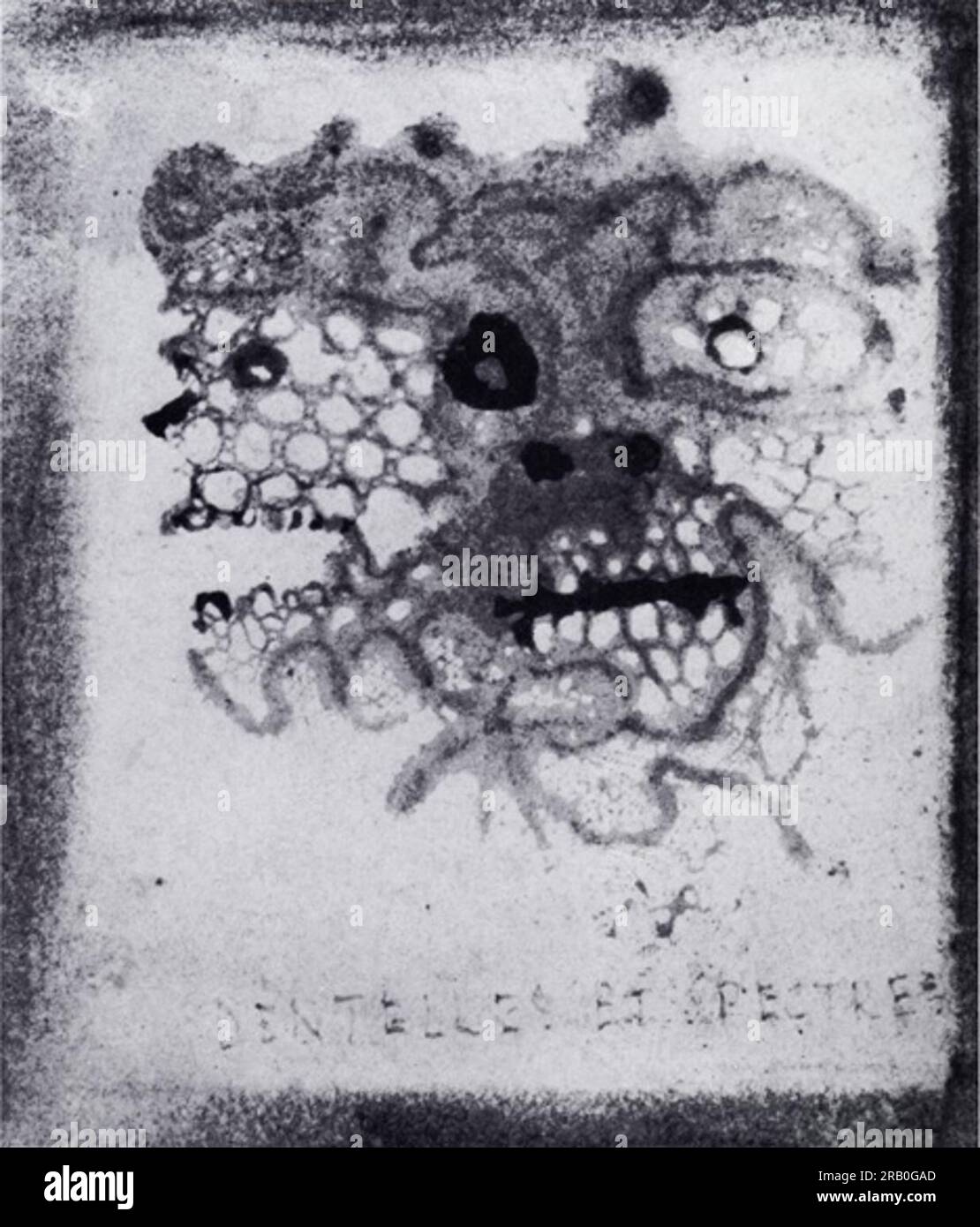 Lace and Ghosts 1856 by Victor Hugo Stock Photo - Alamy