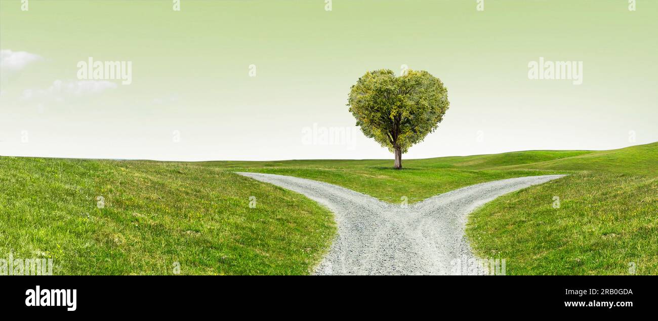 Path through life hi-res stock photography and images - Alamy