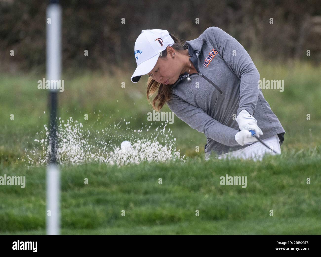 Jeneath wong hi-res stock photography and images - Alamy