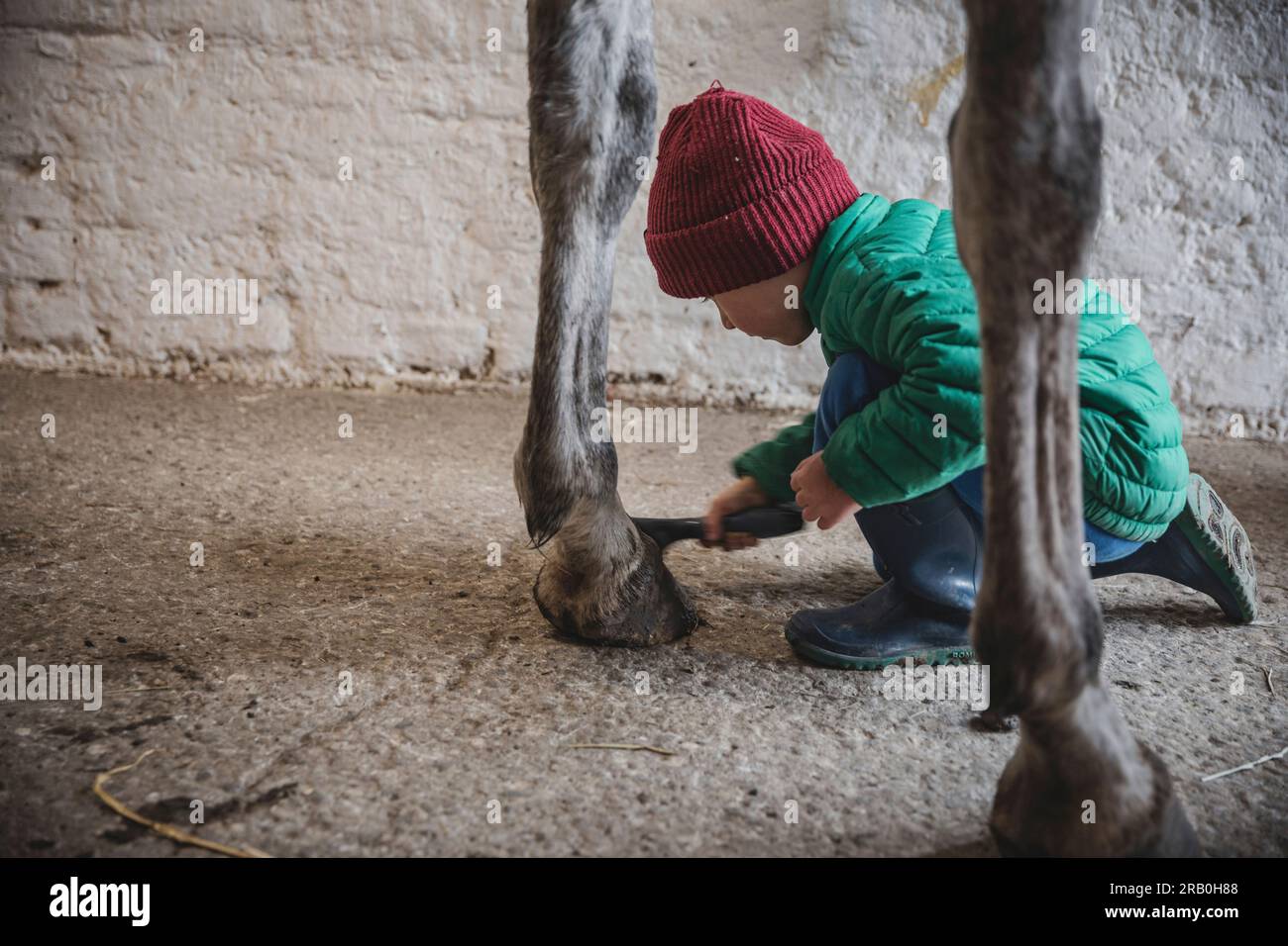 Boy with horse in stable Stock Photo - Alamy