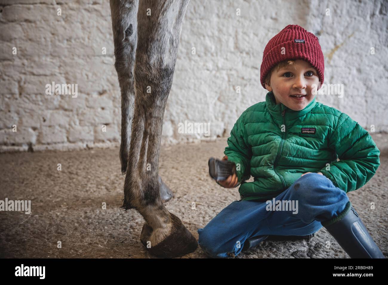 Boy with horse in stable Stock Photo - Alamy