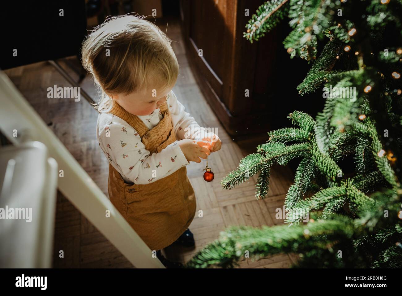They decorate the tree hi-res stock photography and images - Alamy