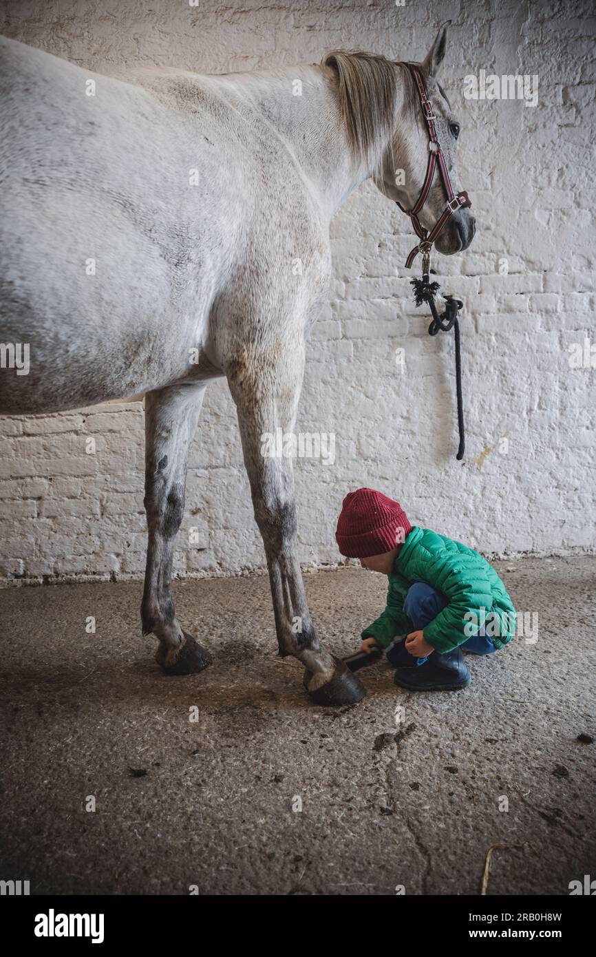 Boy with horse in stable Stock Photo - Alamy